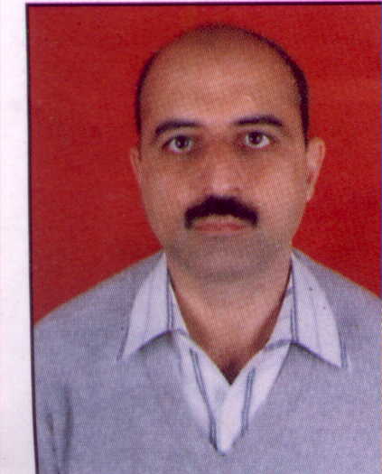 Drvipin Vig 