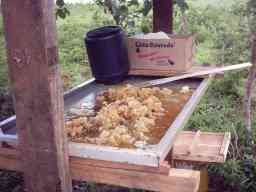 APIBOSCO, APICULTURA PARA TODOS