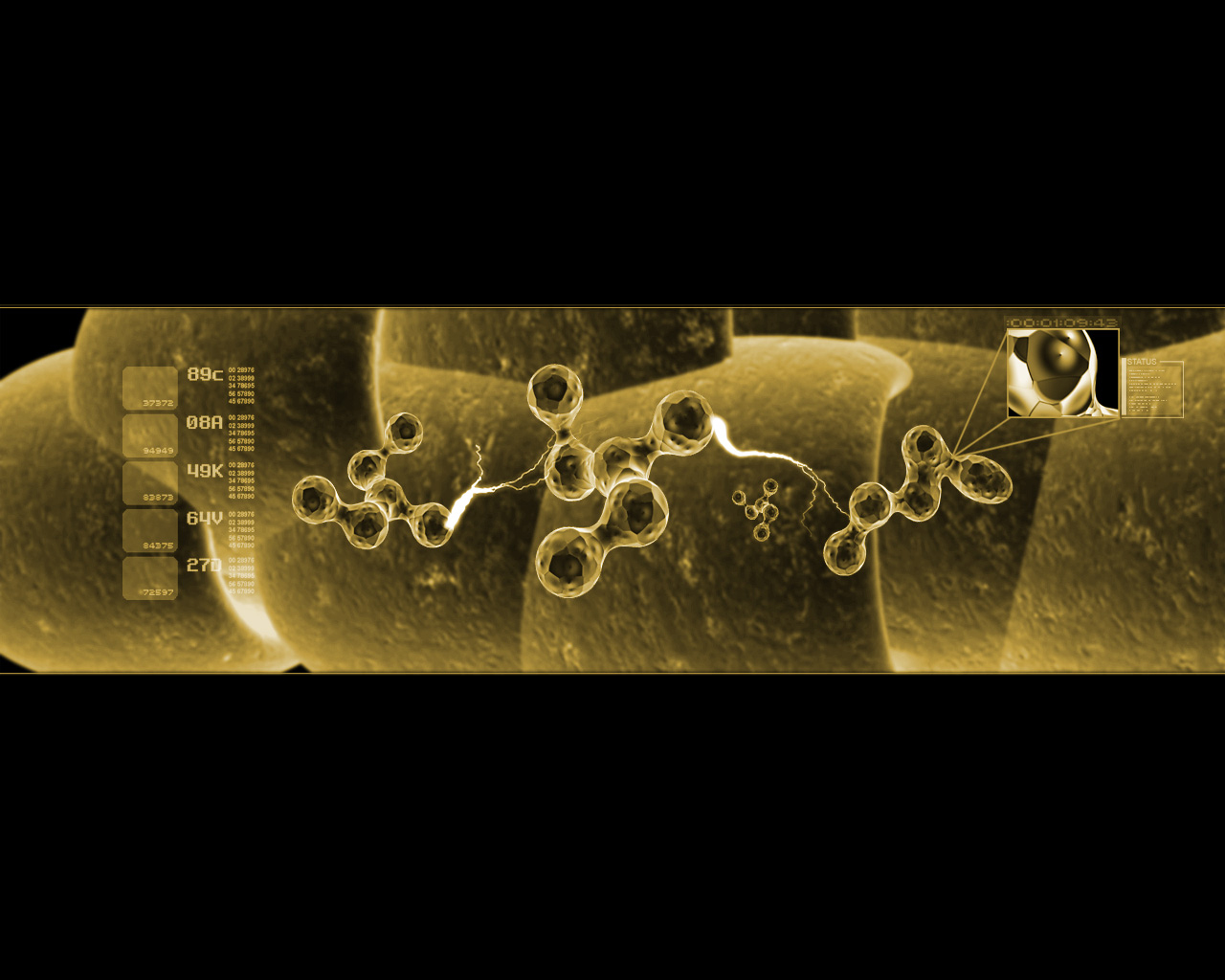 Hosted by www.Geocities.ws