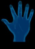 palmistry2