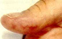 Atlas de fotografías médicas