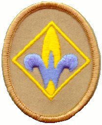 Cub Scout Uniform