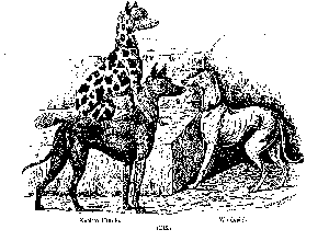 Old German print from the early 1900's.