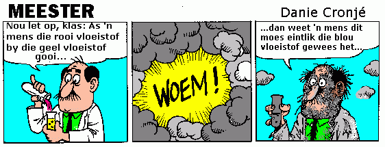 Meester en Neelsie deur Danie Cronjè