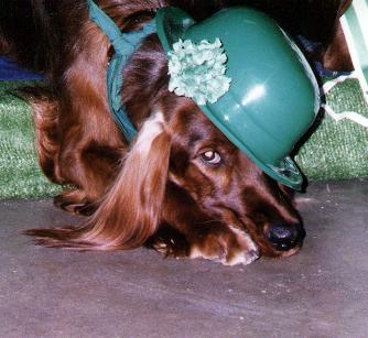 Rescue Clubs and Links