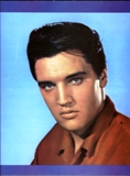 elvis